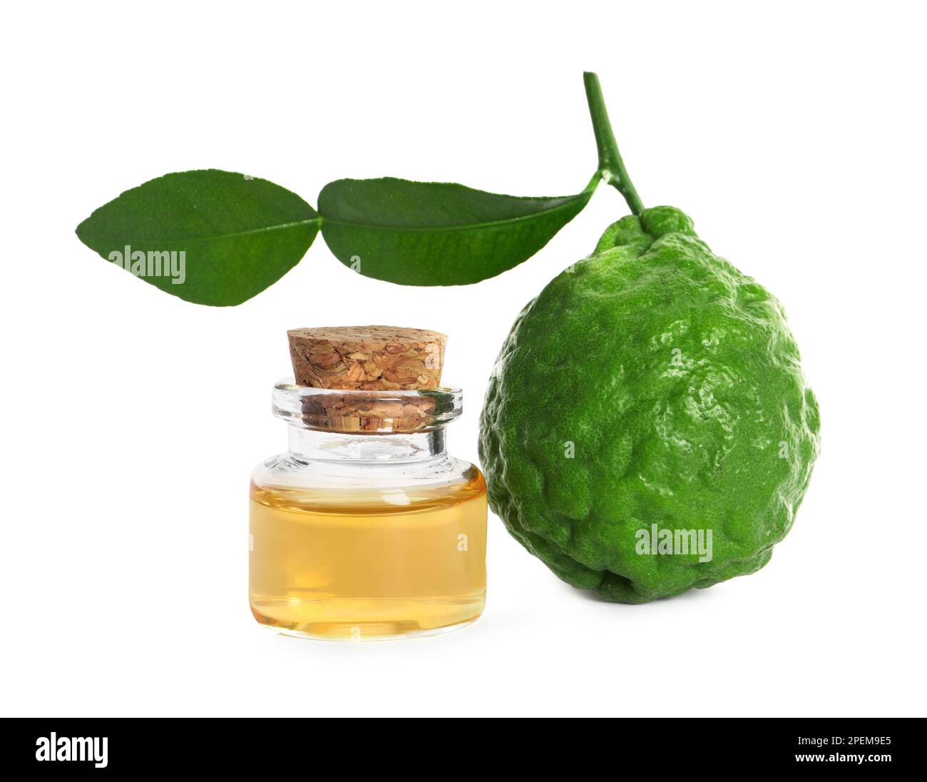 Bottle of essential oil and fresh bergamot fruit on white background ...