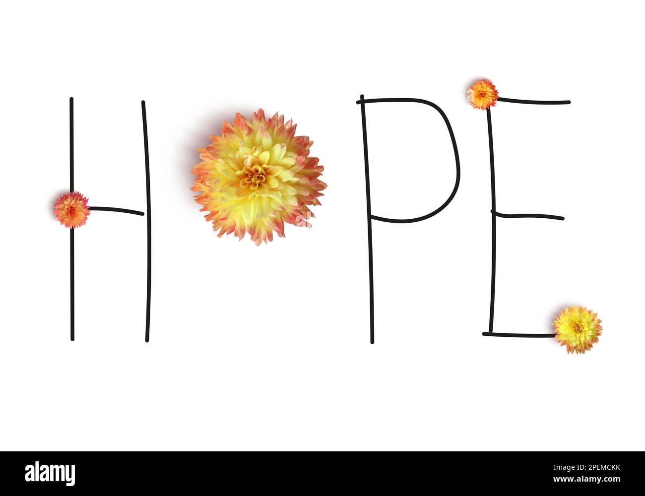 Word HOPE made with letters and beautiful dahlia flower on white ...