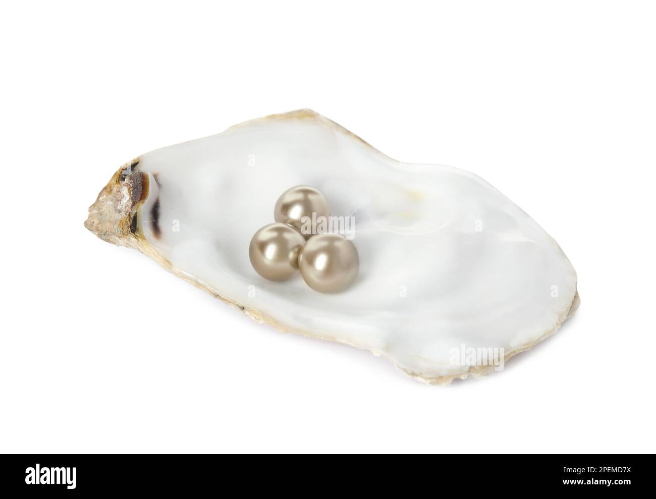 Oyster shell with golden pearls on white background Stock Photo - Alamy