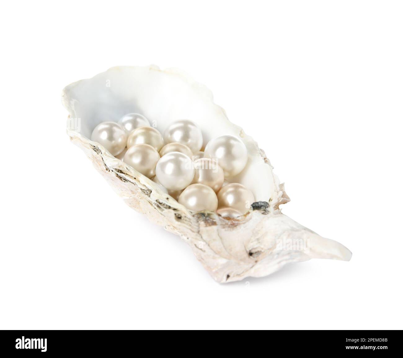 Oyster shell with different pearls on white background Stock Photo - Alamy
