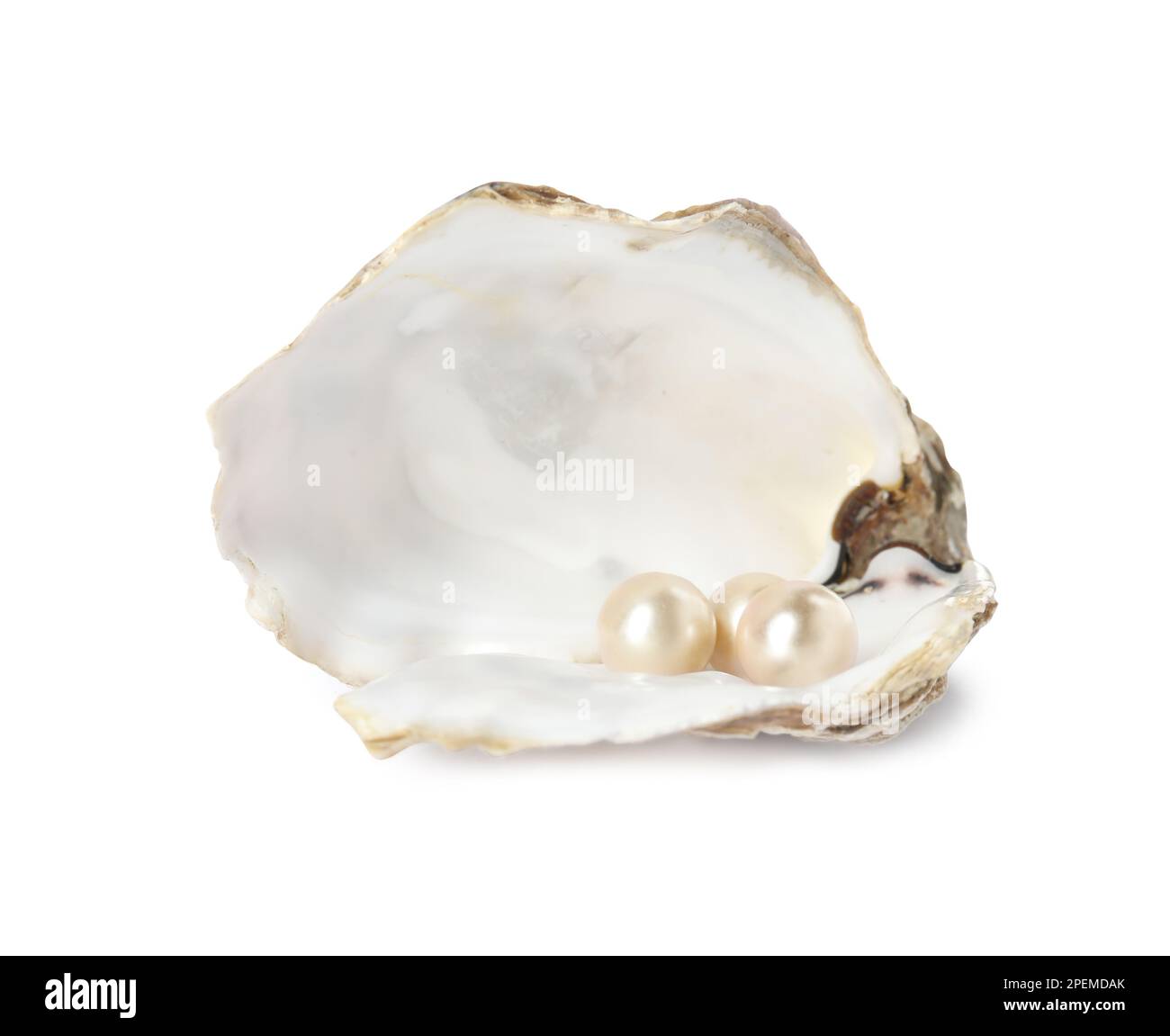 Open oyster shell with pearls on white background Stock Photo - Alamy