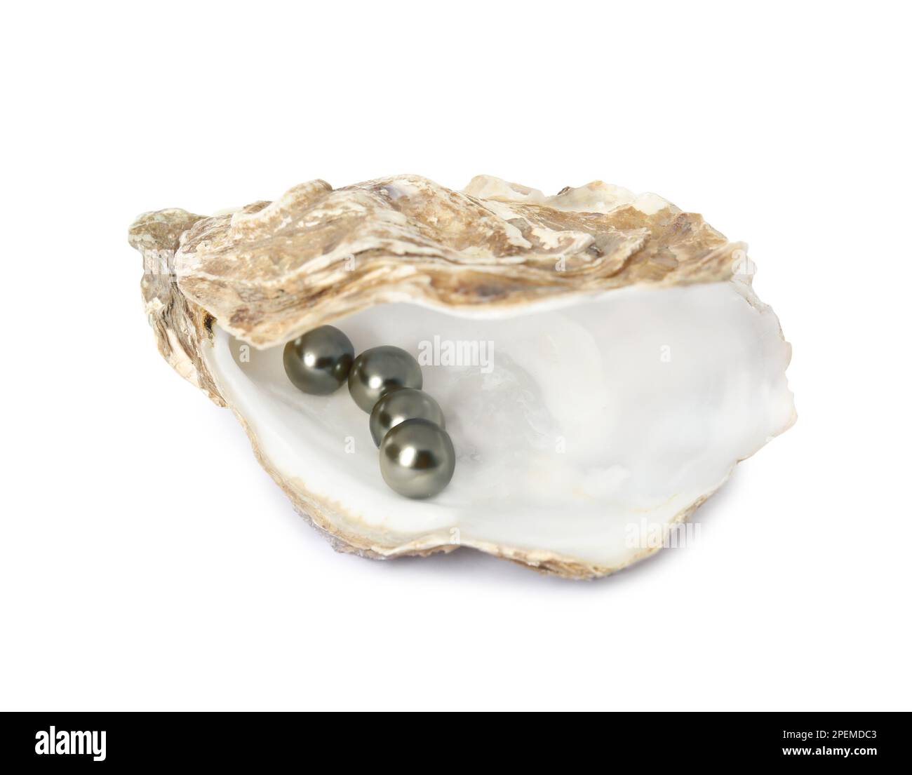 Open oyster shell with black pearls on white background Stock Photo - Alamy