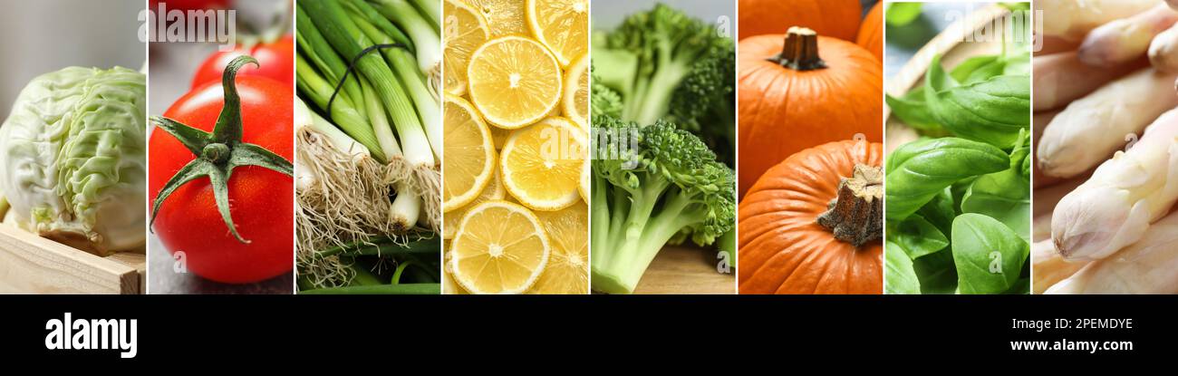Collage with different fresh ripe vegetables. Banner design Stock Photo ...