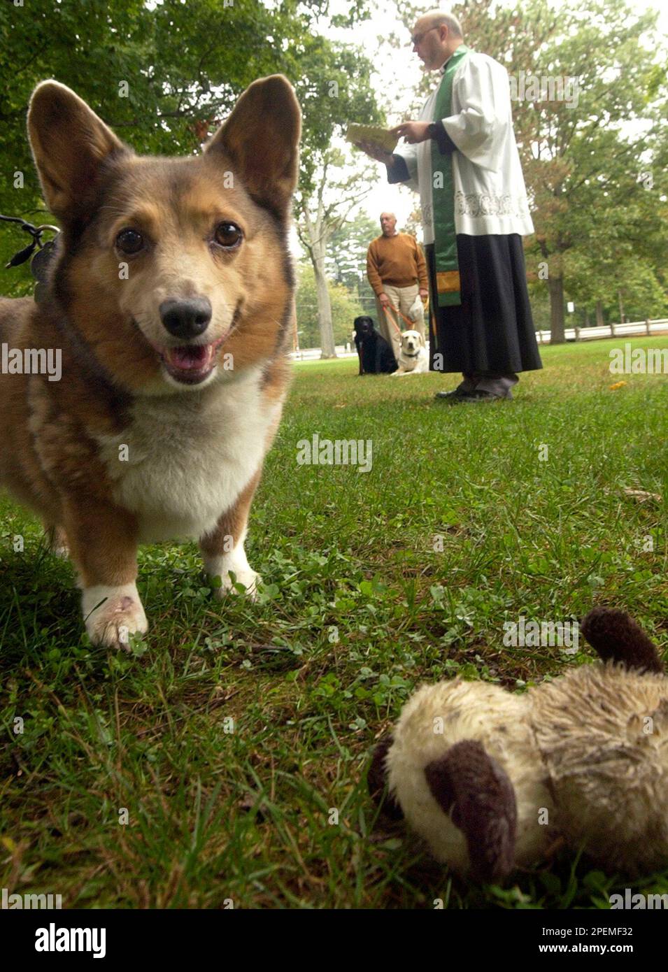 The Rev. Richard Sutter, from St. Luke's Anglican Church in Amherst, N ...