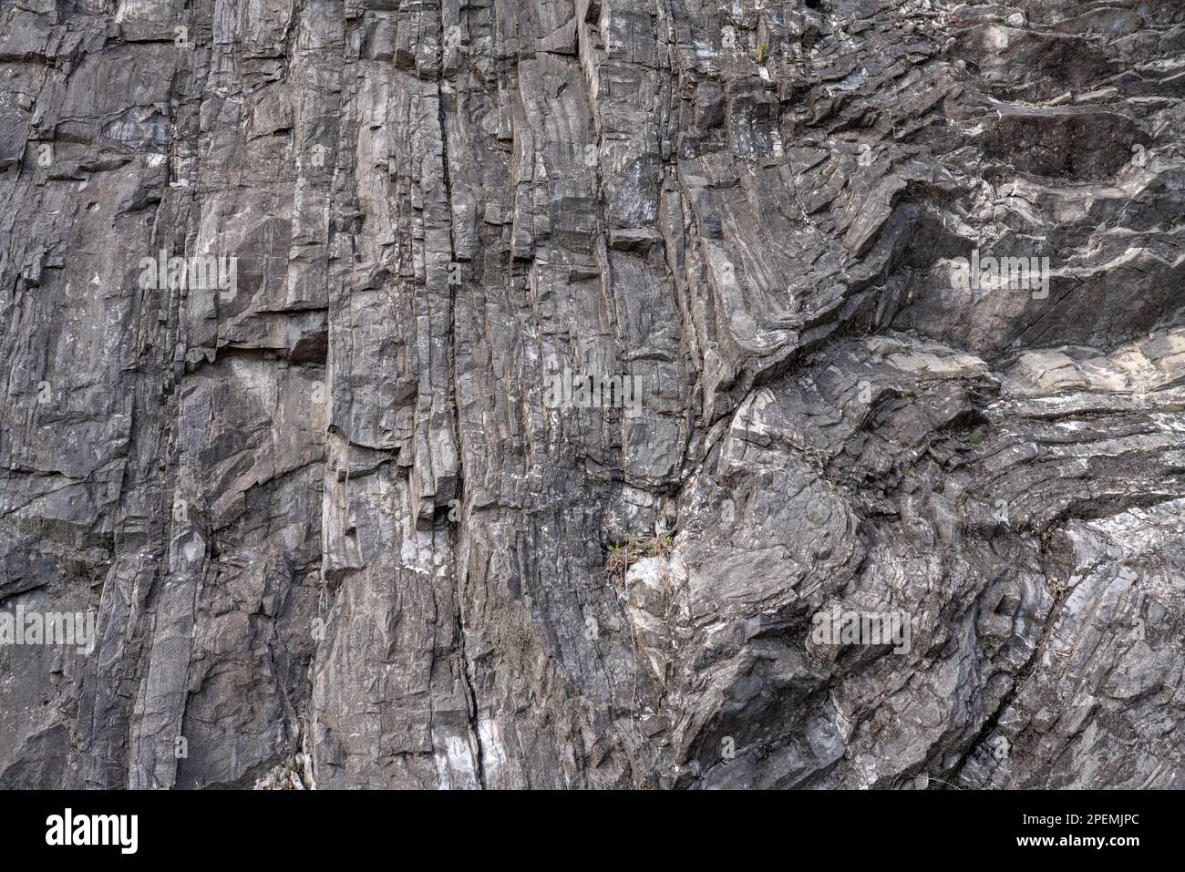 Furrowed paleozoic limestone rock cliffside at Barrandov, Czech ...