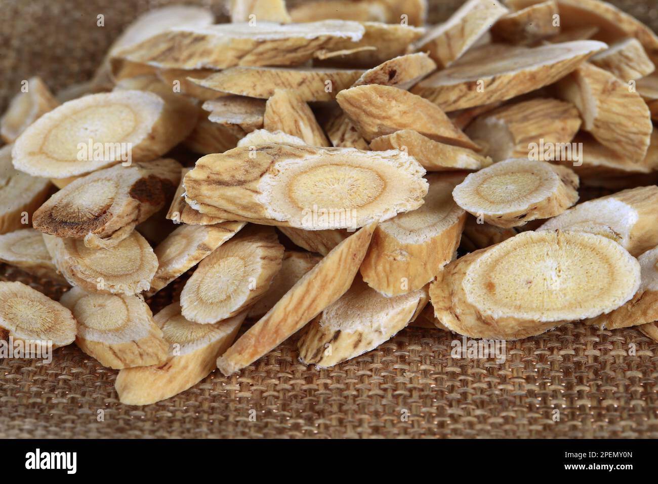 Chinese herbal medicine astragalus membranaceus on a white background ...