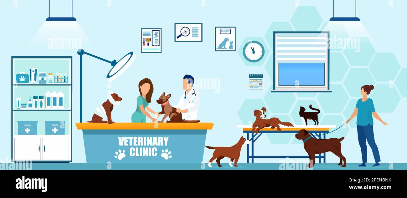 Vector of a veterinarian and his assistant taking care of dogs and cats ...