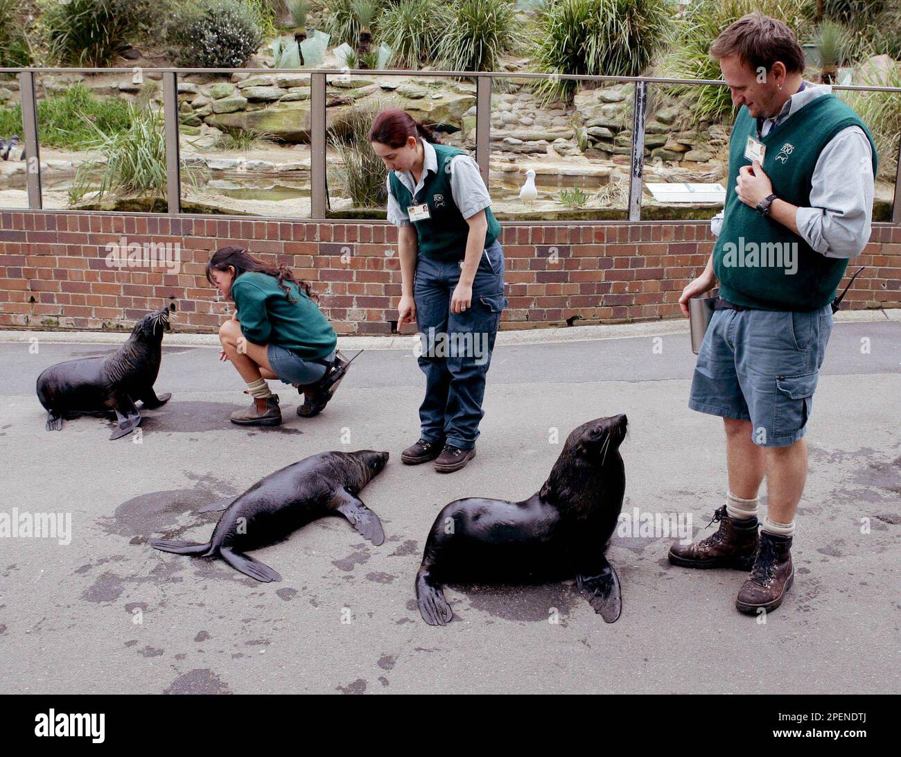 Zoo keepers, from right, Elle Bombonato, Elly Neumann and Danielle Fox ...
