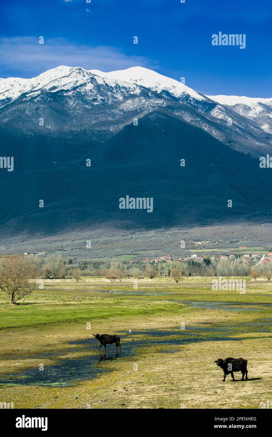 Alush hi-res stock photography and images - Alamy