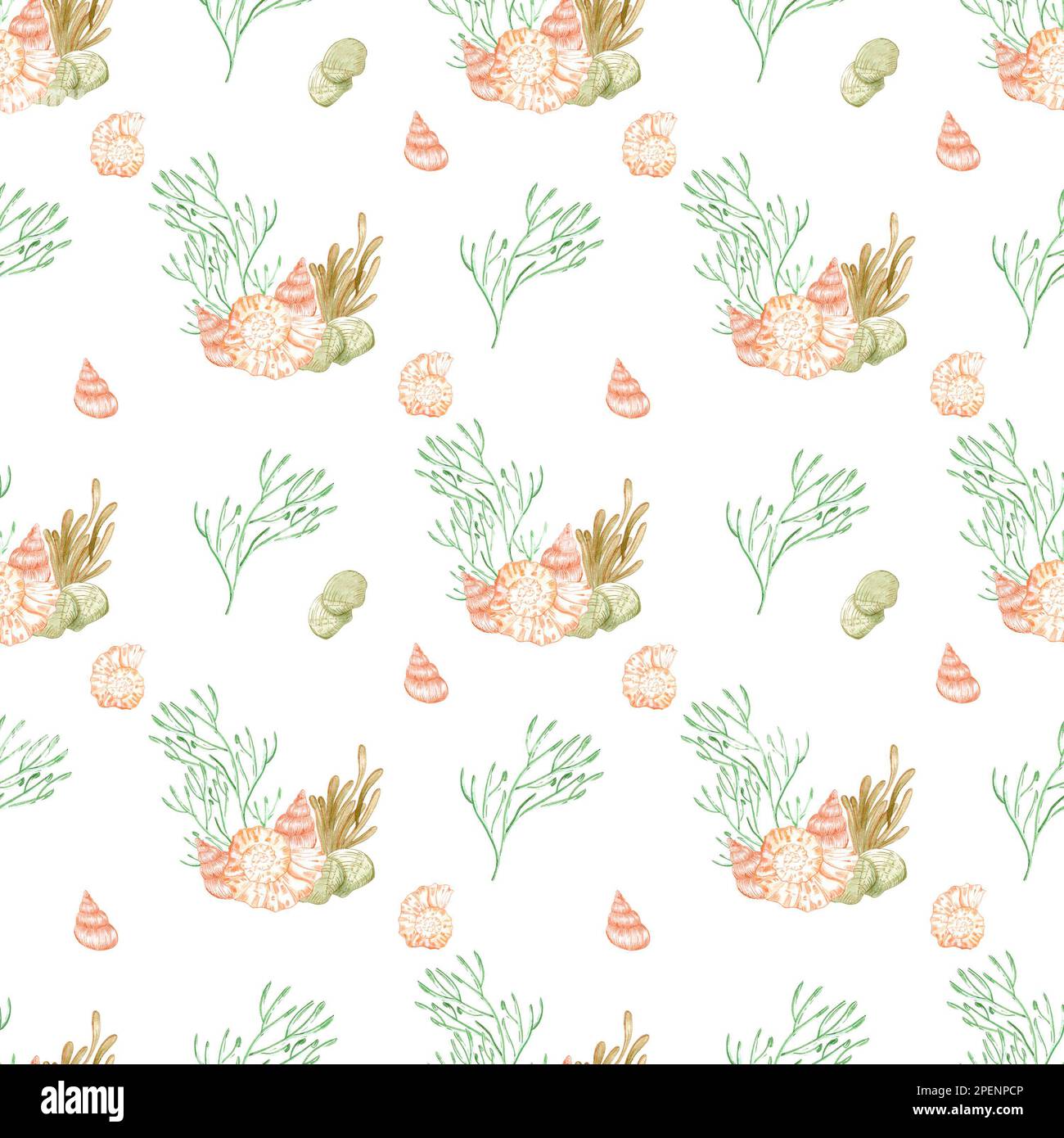 Hand drawn watercolor seashells and seaweed seamless pattern isolated ...