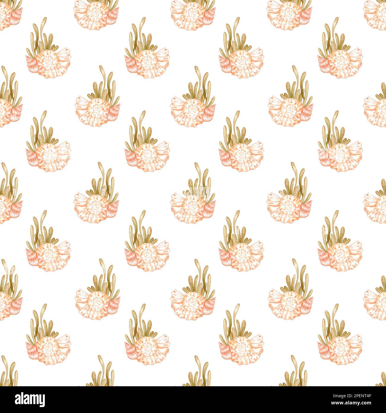 Hand drawn watercolor seashells and seaweed seamless pattern isolated ...