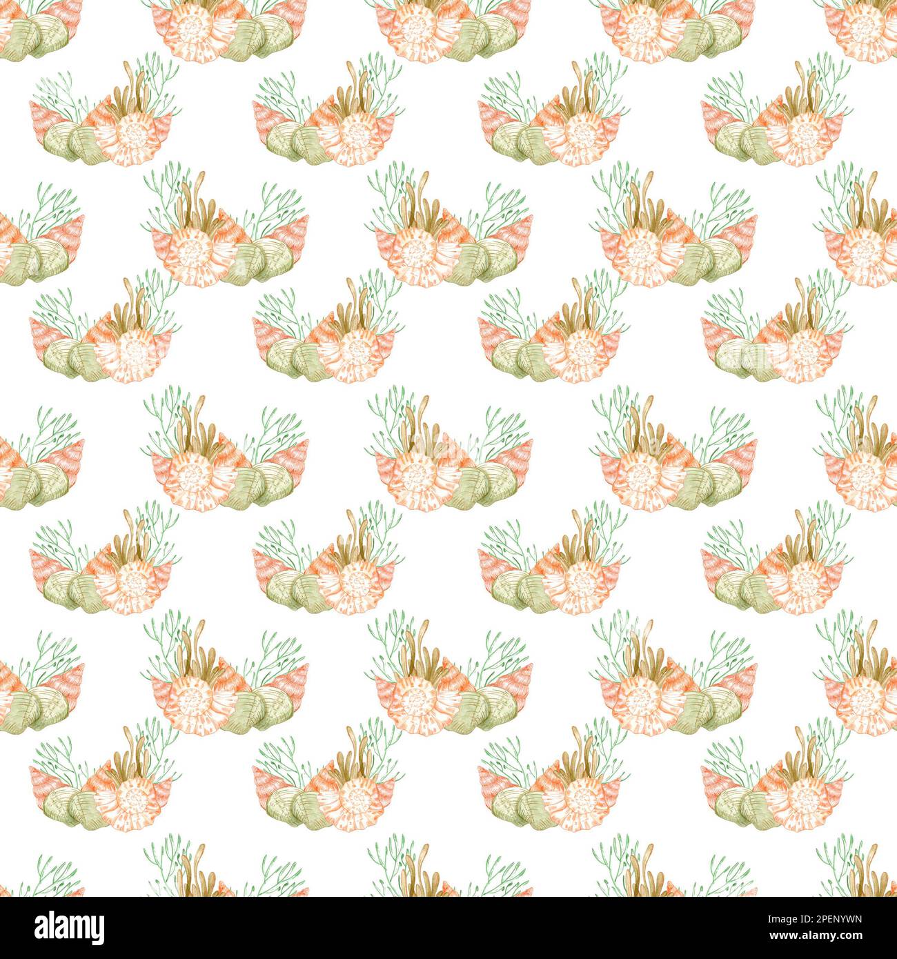 Hand drawn watercolor seashells and seaweed seamless pattern isolated ...