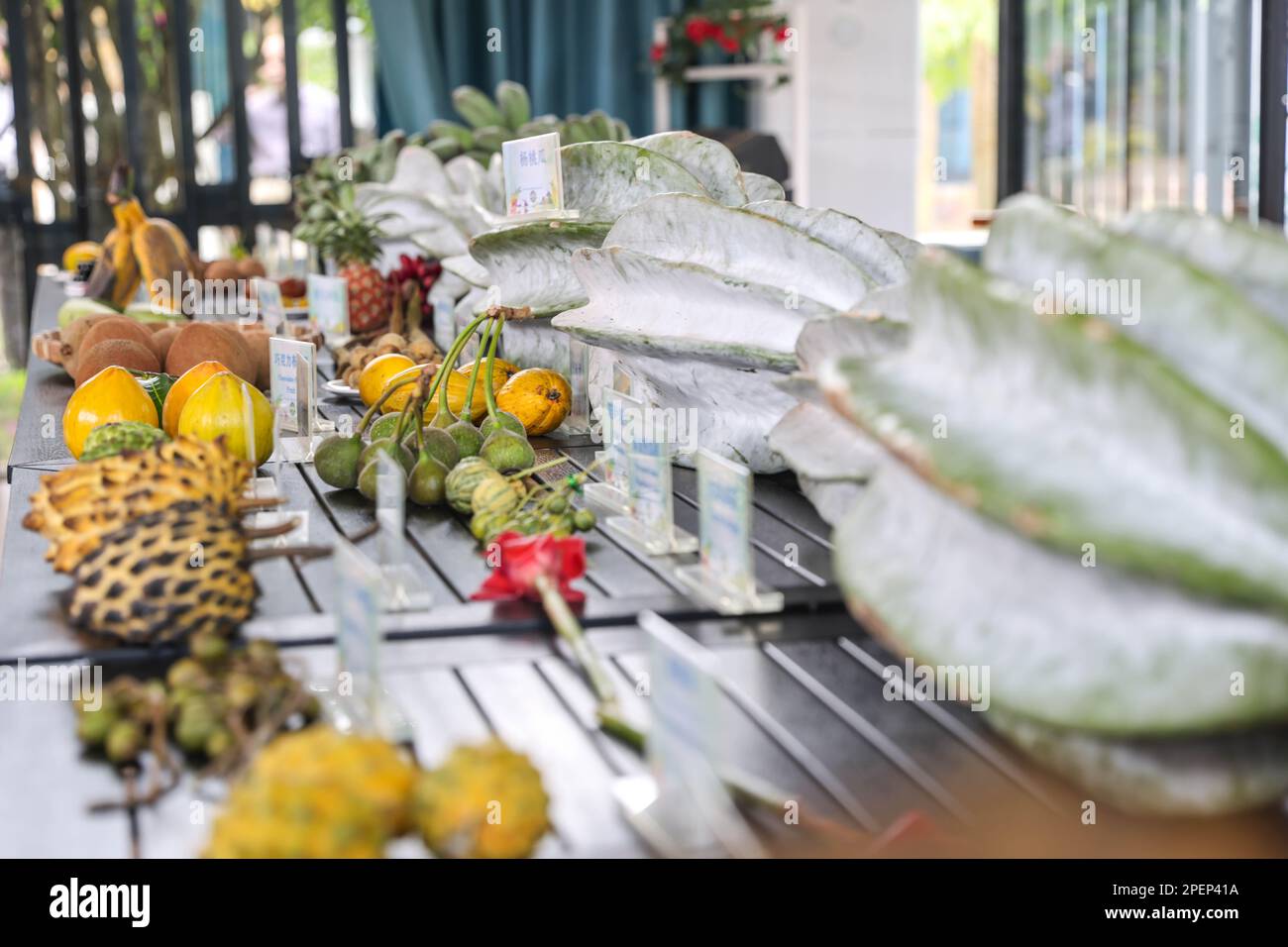 Haikou, China's Hainan Province. 15th Mar, 2023. Tropical fruits are on ...