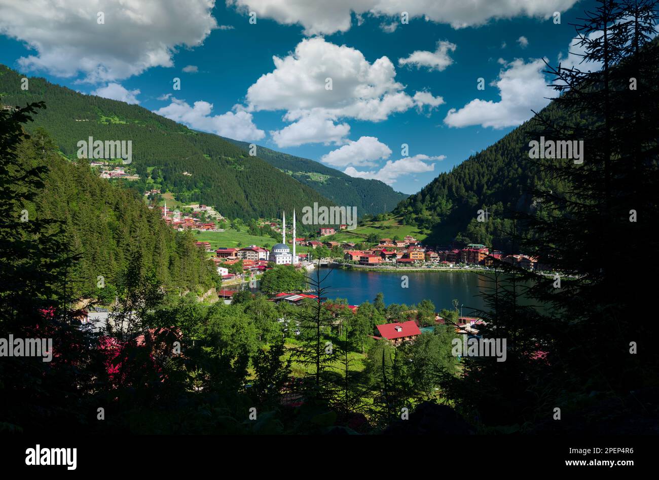 Turkey's famous tourist mountain lake. Long lake (Uzungöl) view from ...