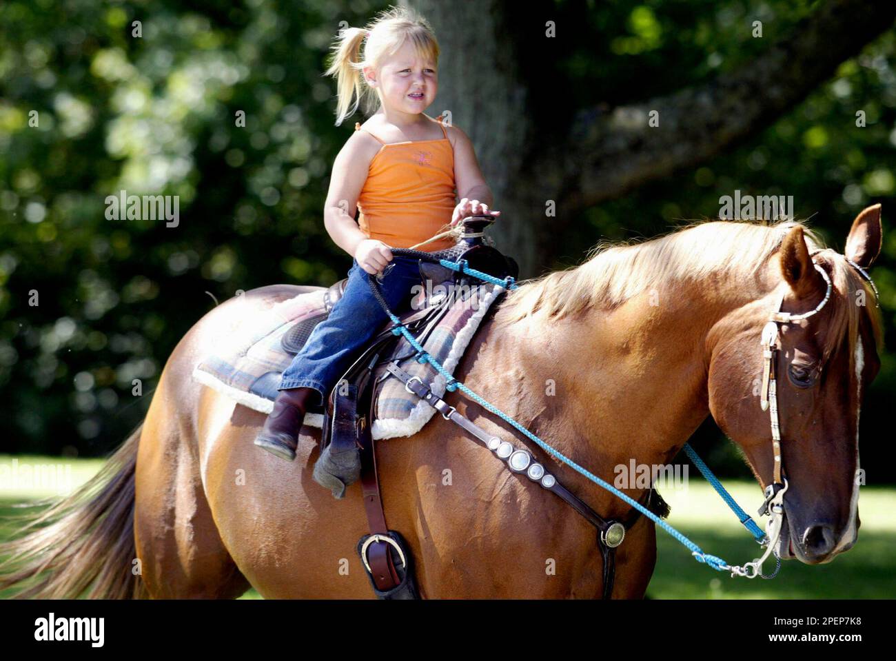 Audree Huebner, 3, goes on a trail ride Tuesday morning, Aug. 31, 2004 ...