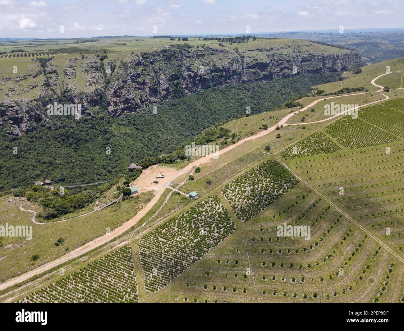 Drone view at a agricultural field on Oribi gorge near Port Shepstone ...
