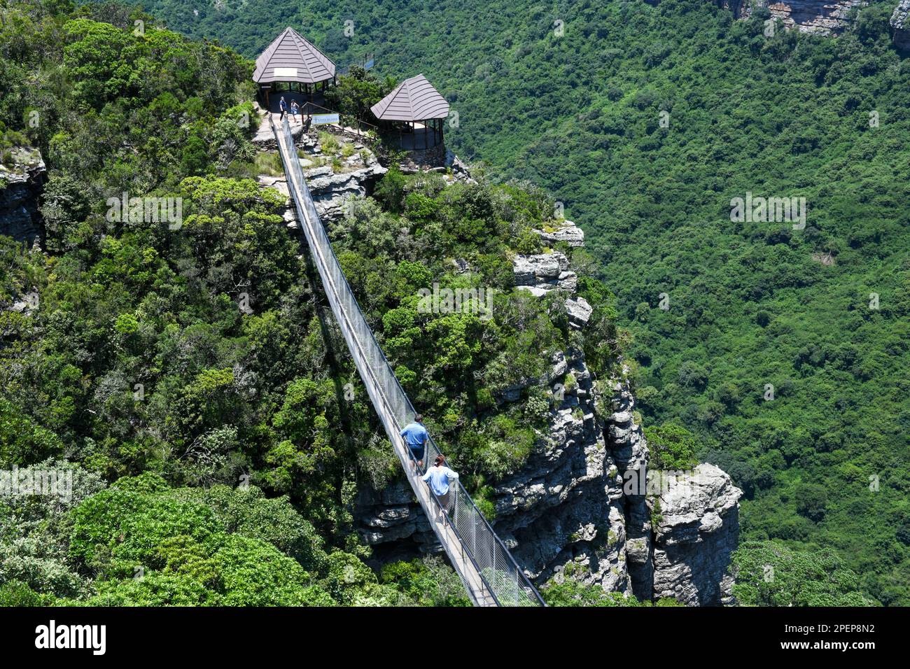 View at the suspension bridge on Oribi gorge in South Africa Stock ...
