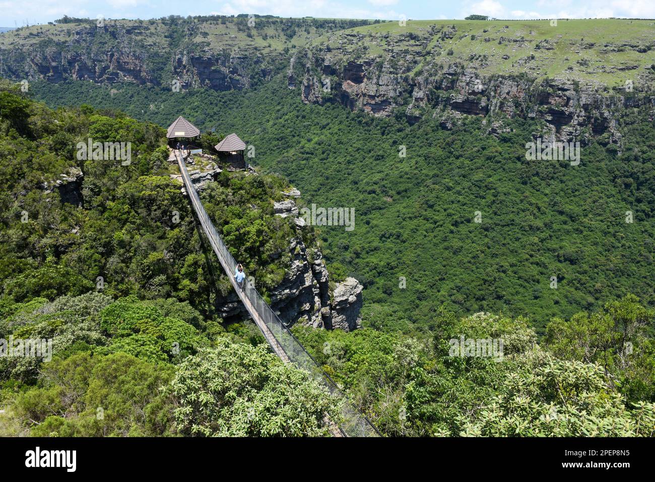 View at the suspension bridge on Oribi gorge in South Africa Stock ...