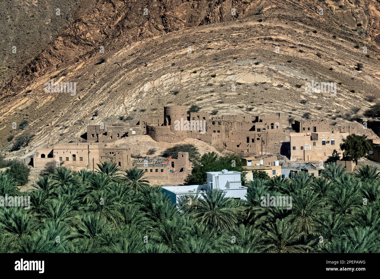 Mud-brick ruins and date palms in the oasis village of Birkat al Mouz ...