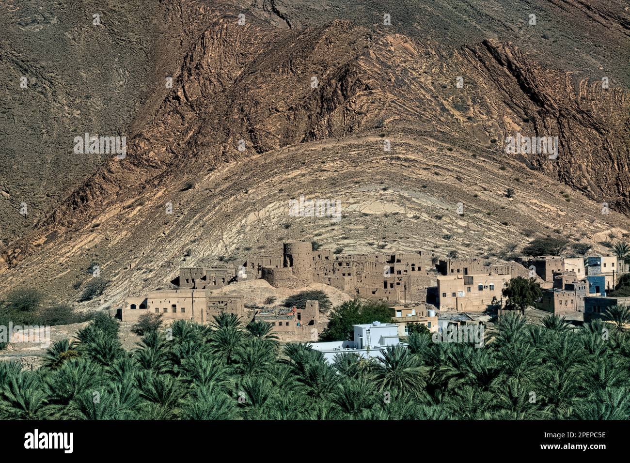 Mud-brick ruins and date palms in the oasis village of Birkat al Mouz ...