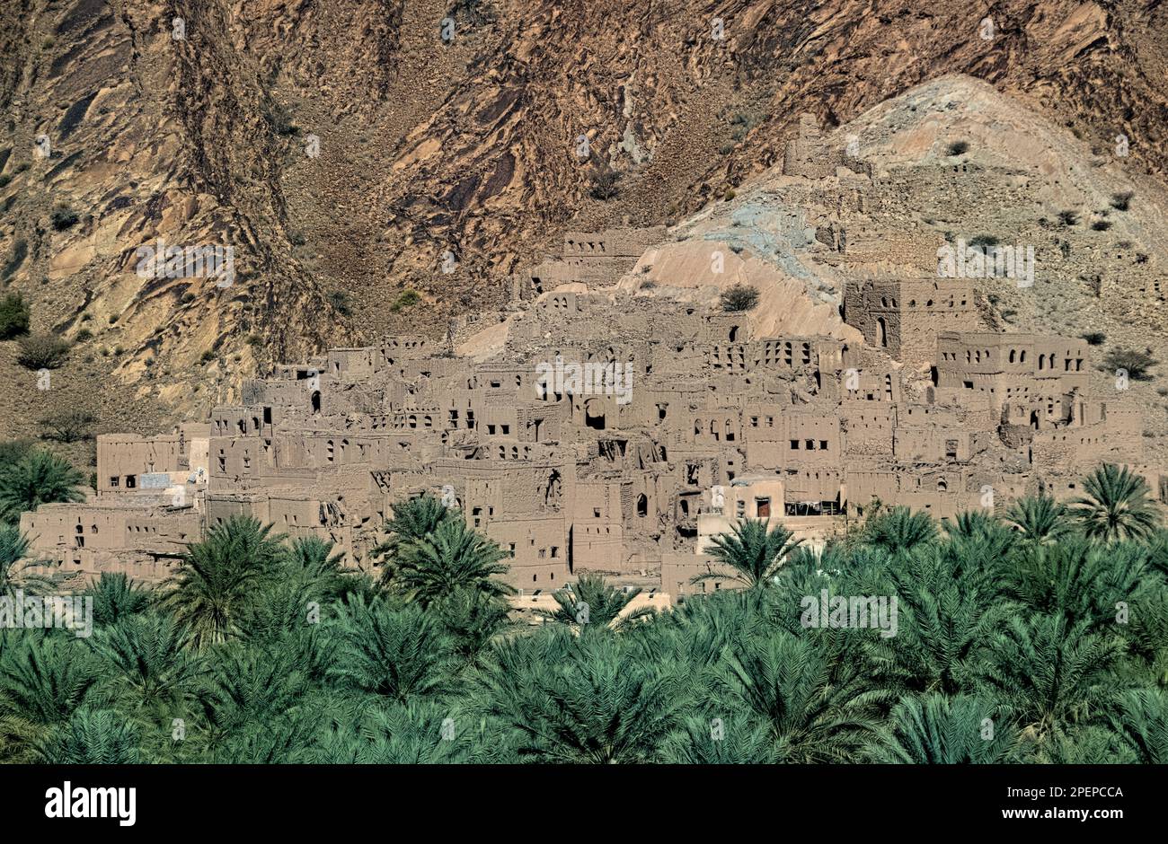 Mud-brick ruins and date palms in the oasis village of Birkat al Mouz ...
