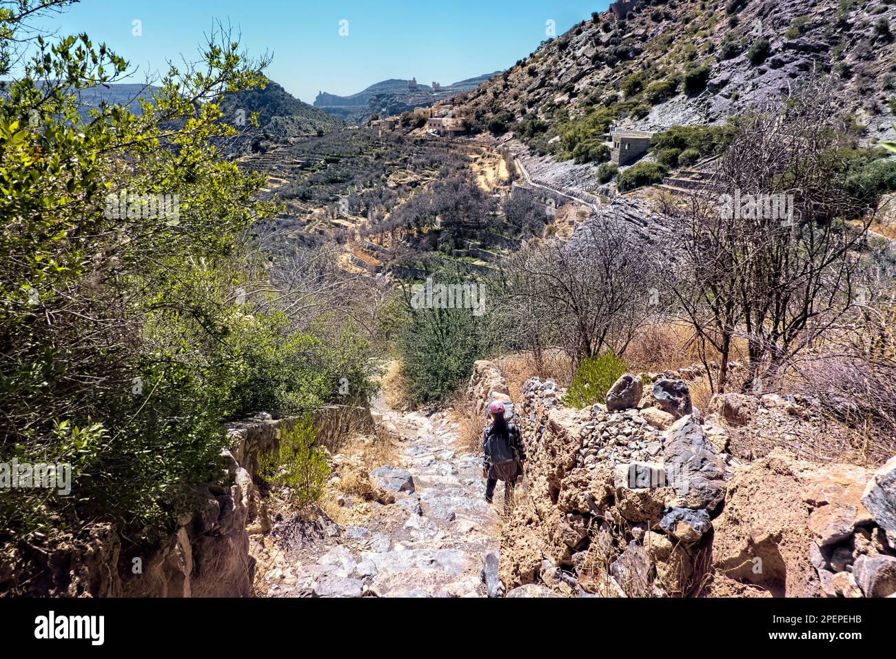 Trekking through terraced agricultural fields, Al Ain, Jebel Akhdar ...