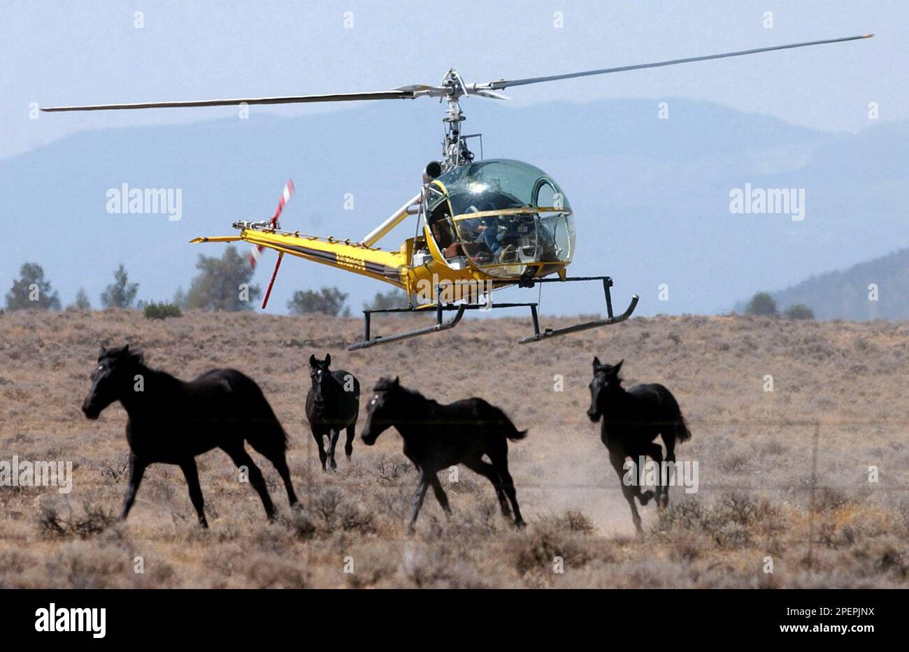 **ADVANCE FOR WEEKEND EDITIONS OF AUG. 28 AND 29** Helicopter pilot ...