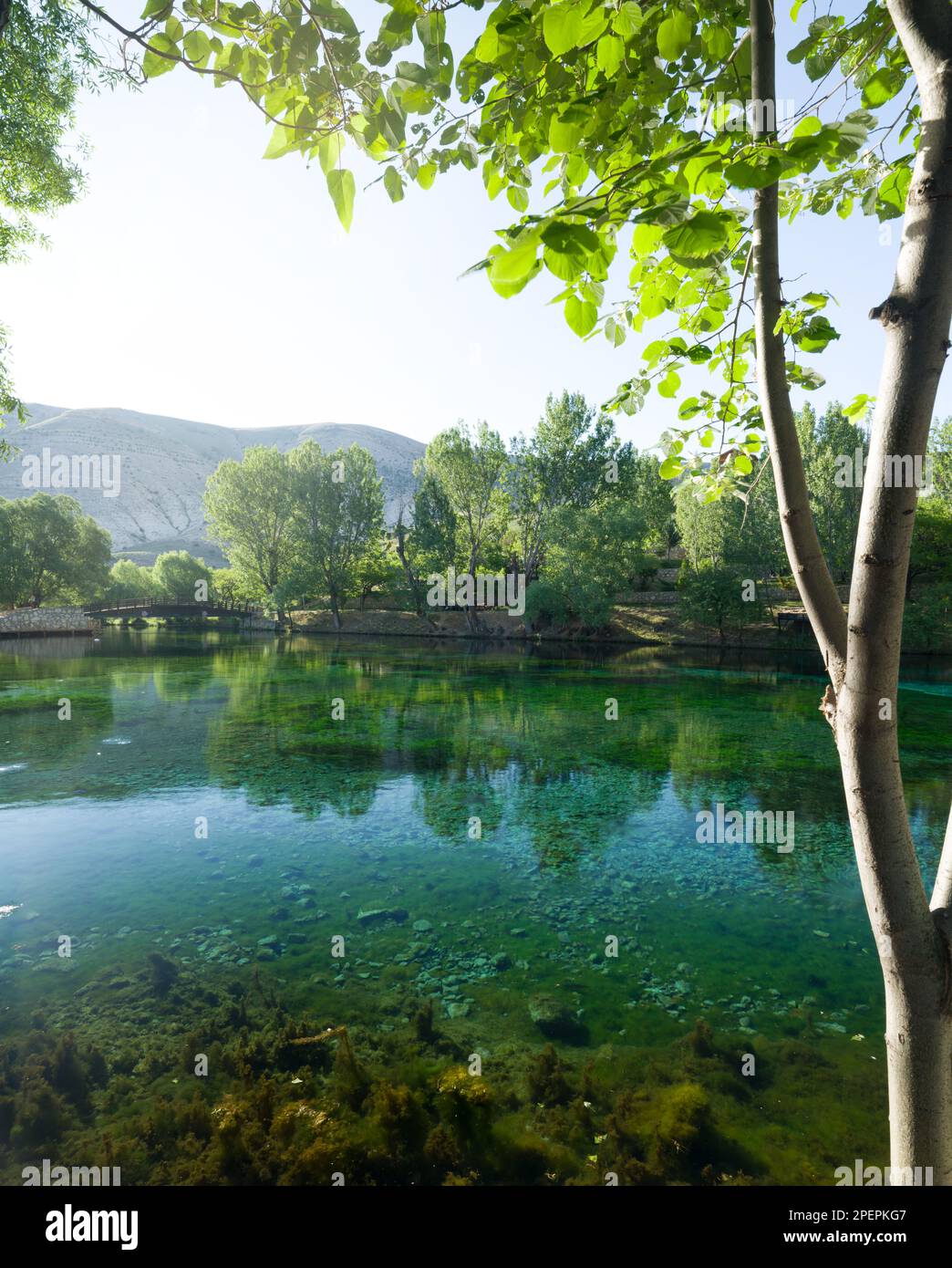 Blue lake in the park. View of Gokpinar Lake in the morning light ...