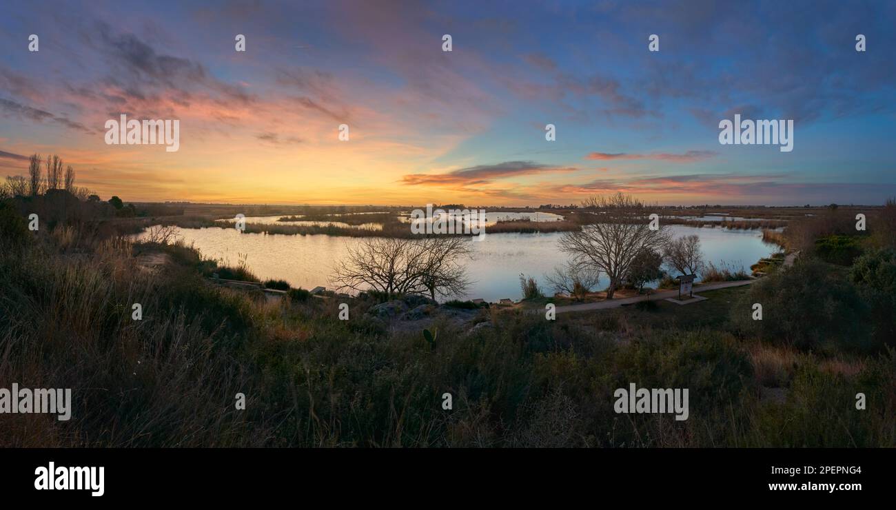 Arbol panorama hi-res stock photography and images - Alamy