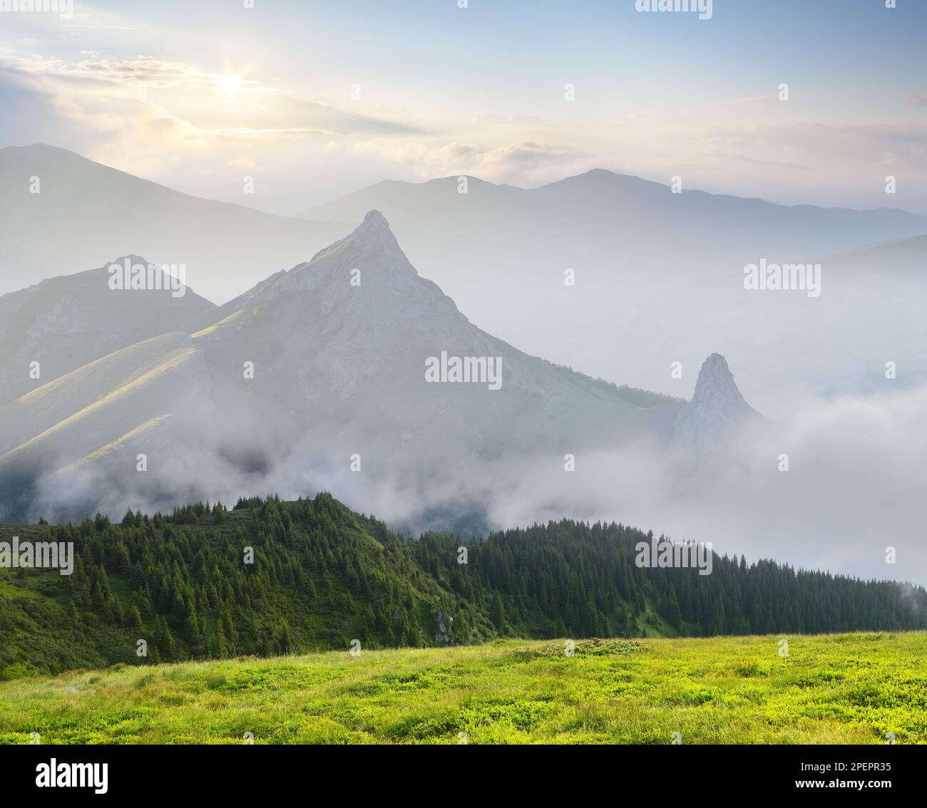 Summer landscape on a sunny morning. Beautiful fog in the mountains ...