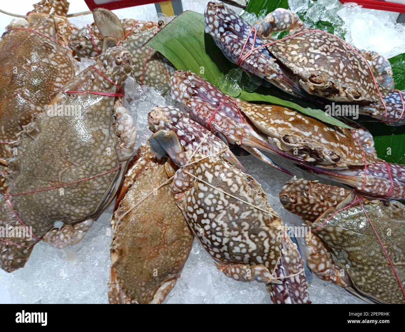 Fresh seafood meal swimming crab hi-res stock photography and images ...
