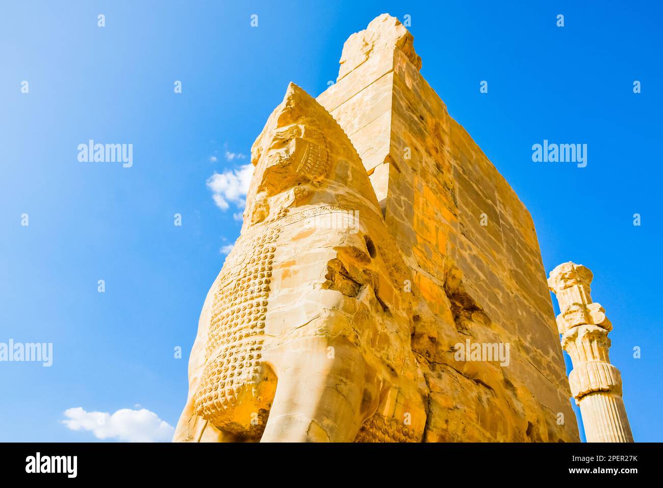 Persepolis, Iran - 8th june, 2022: horse statue in an ancient city of ...