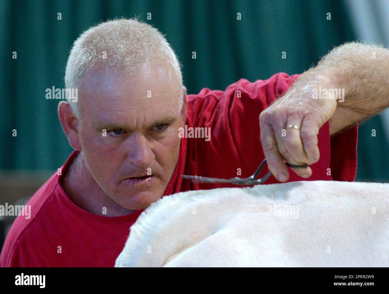 Terry Trowbridge, of Horse Cave, Ky., eyes the fine detail of his work ...