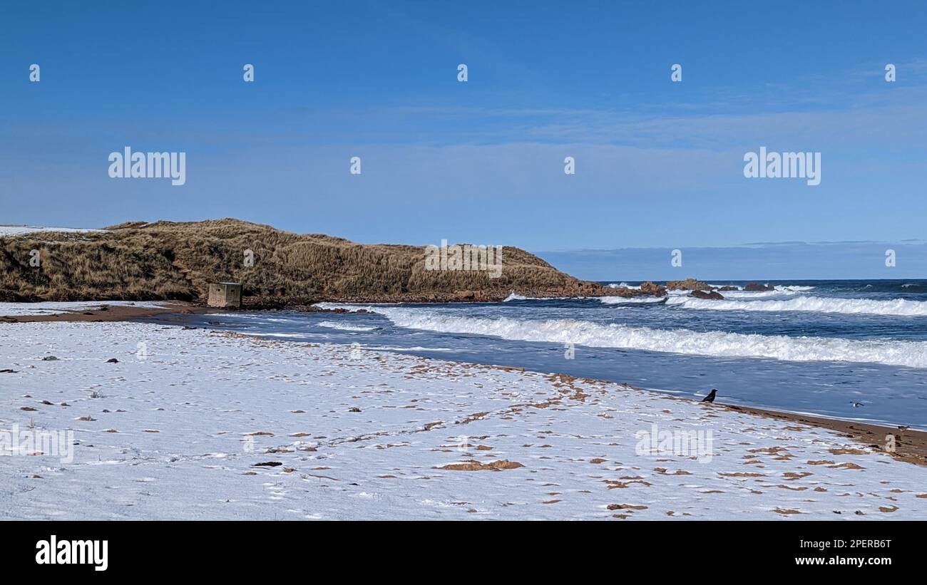 Snow on beach Stock Photo - Alamy