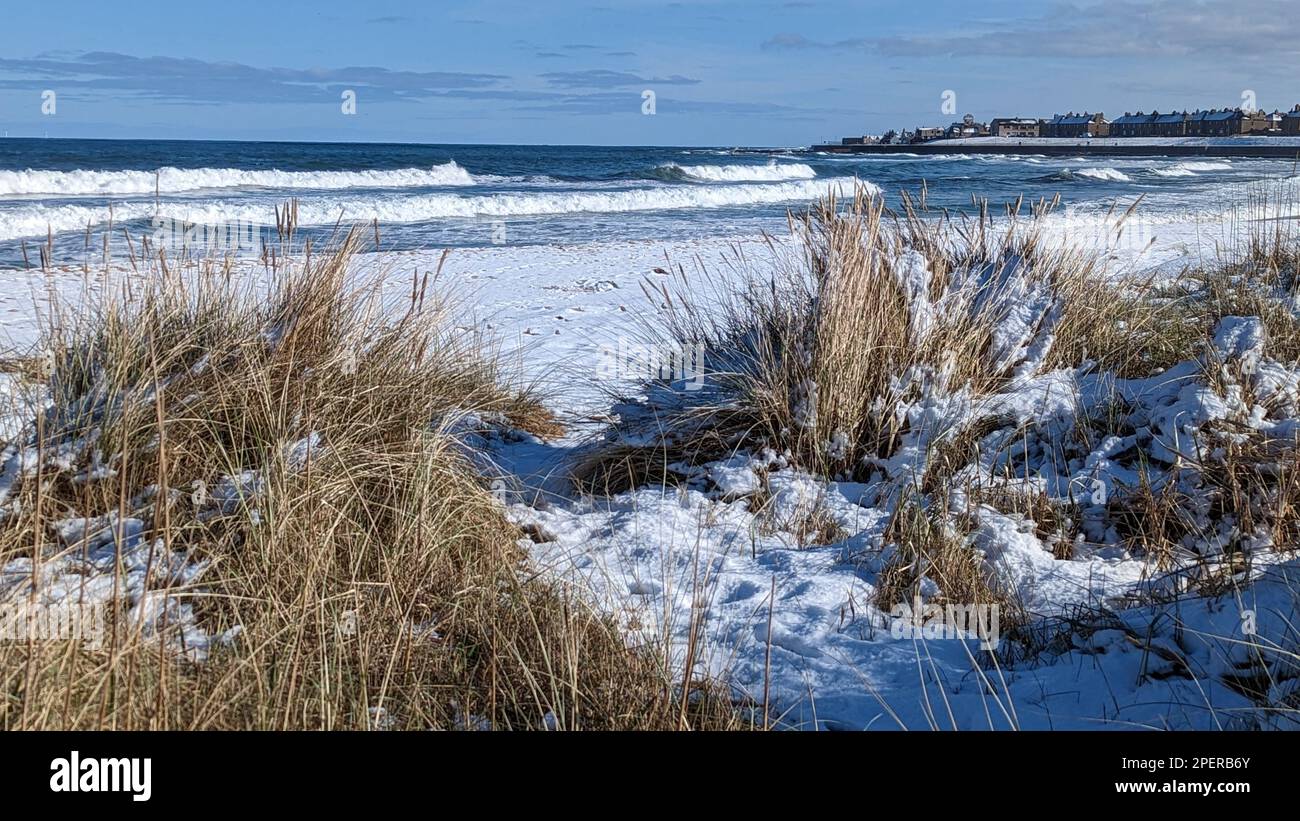 Snow on beach Stock Photo - Alamy