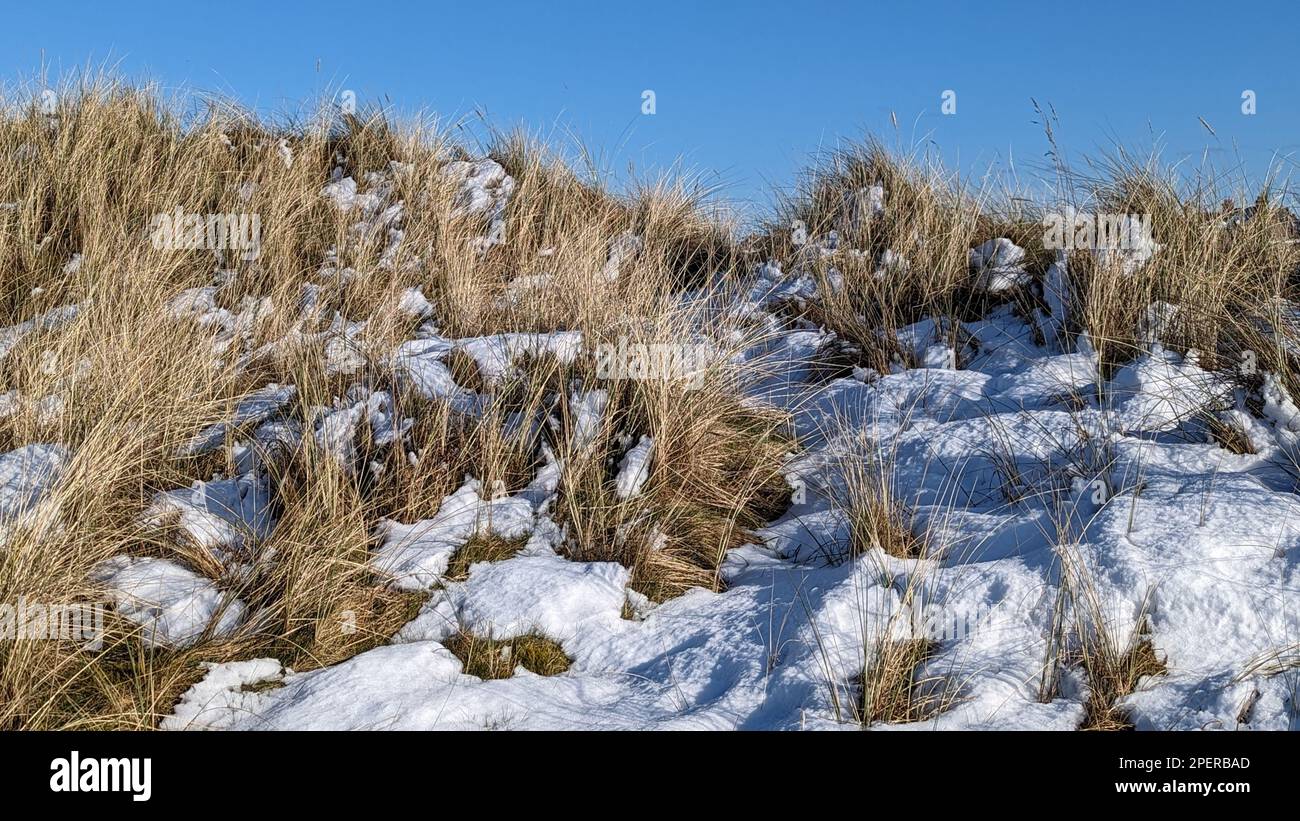 Snow on beach Stock Photo - Alamy