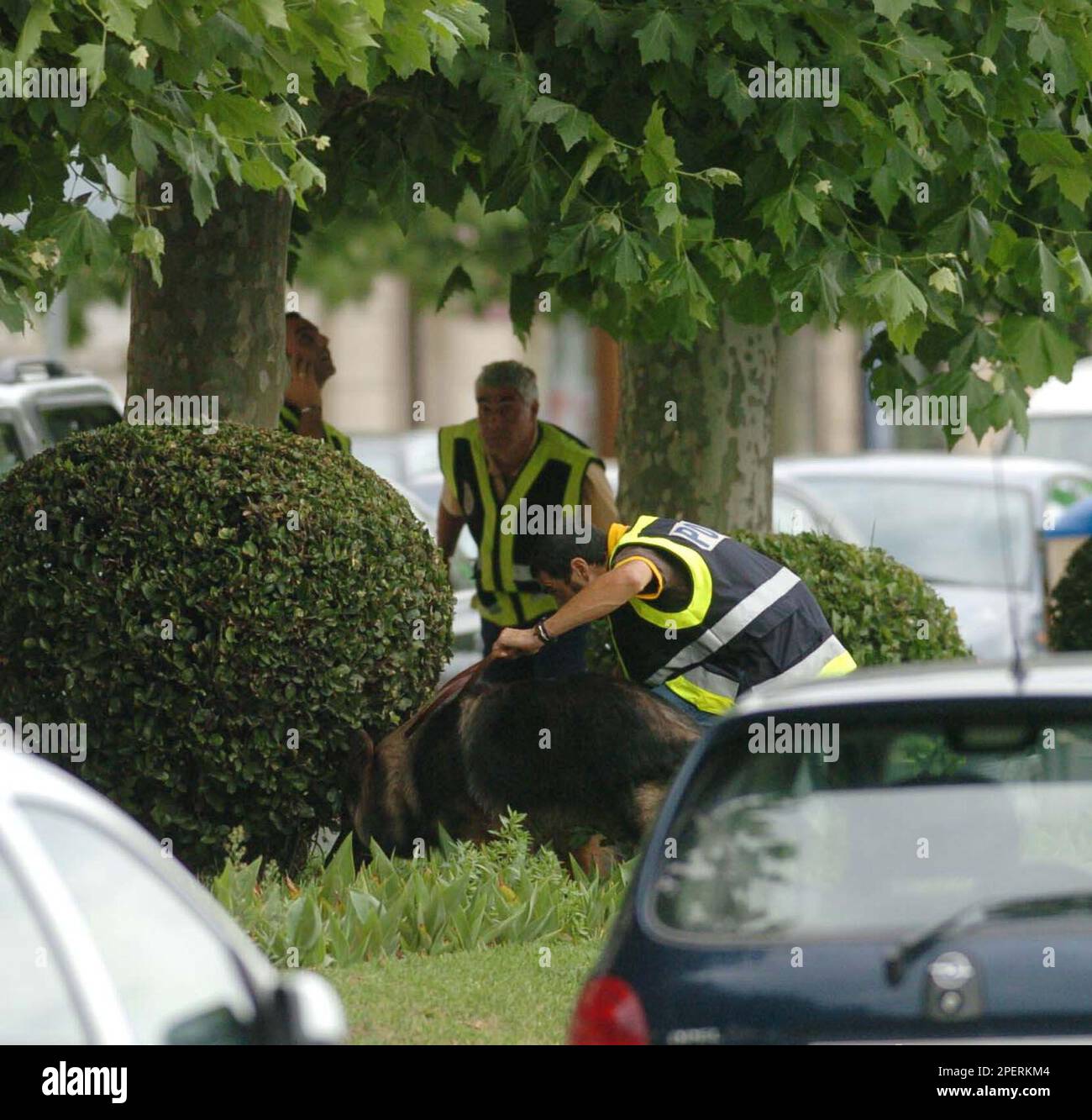 Police use dogs to search for evidence after a small explosive device ...