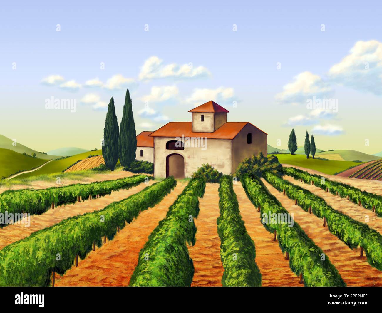 Vineyard in Tuscany, Italy. Original digital illustration Stock Photo ...