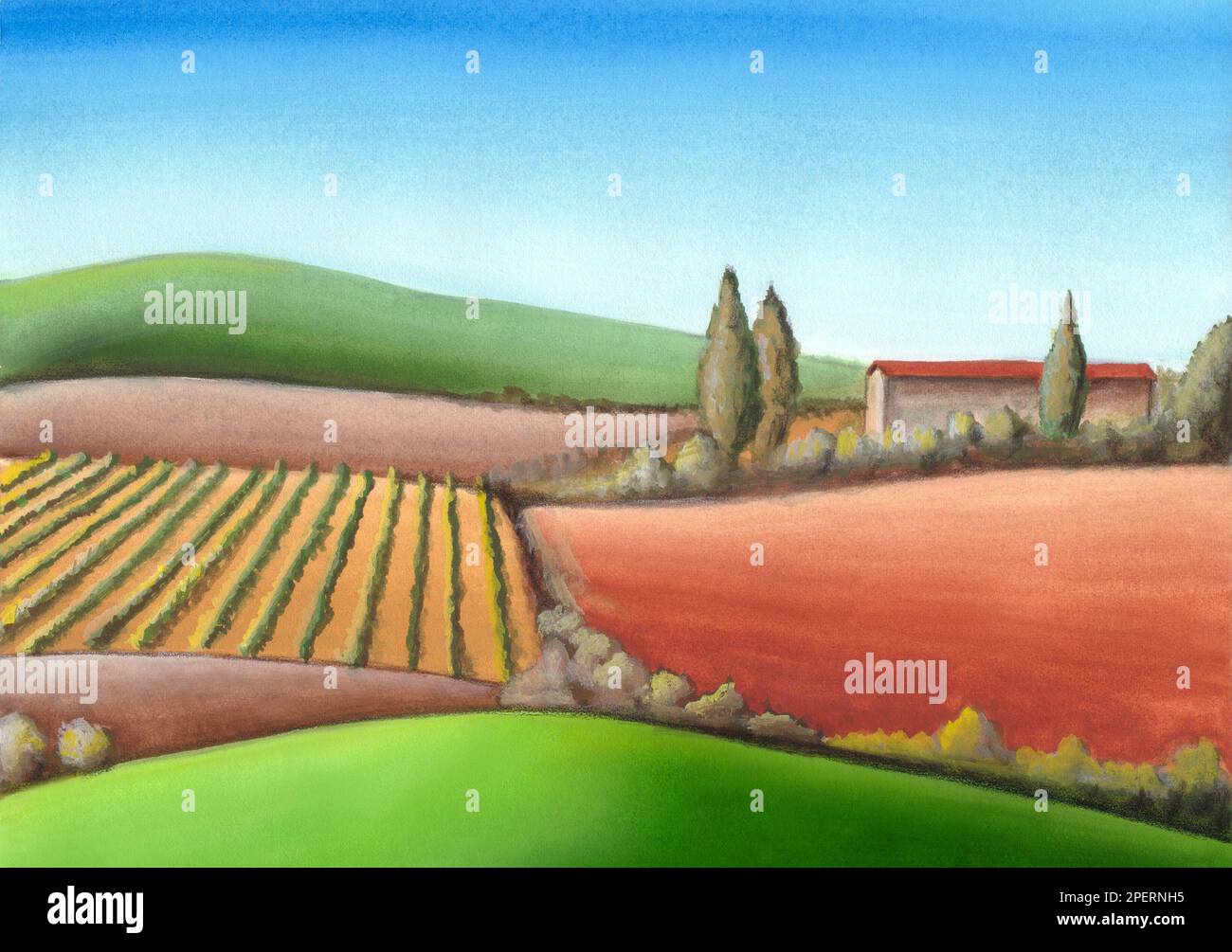 Summer farmland in Tuscany, Italy. Hand painted illustration Stock ...