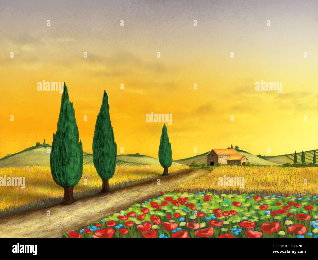 Beautiful farmland at sunset. Original digital illustration Stock Photo ...