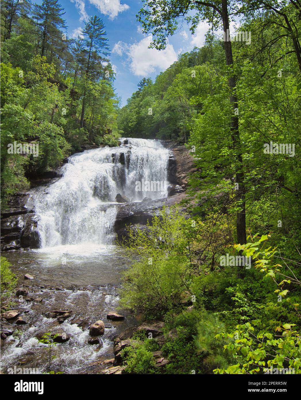 A lush, green forest with a cascading waterfall flowing through it ...