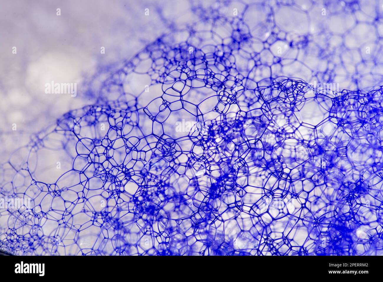 A closeup of blue translucent soap bubbles floating on the water ...