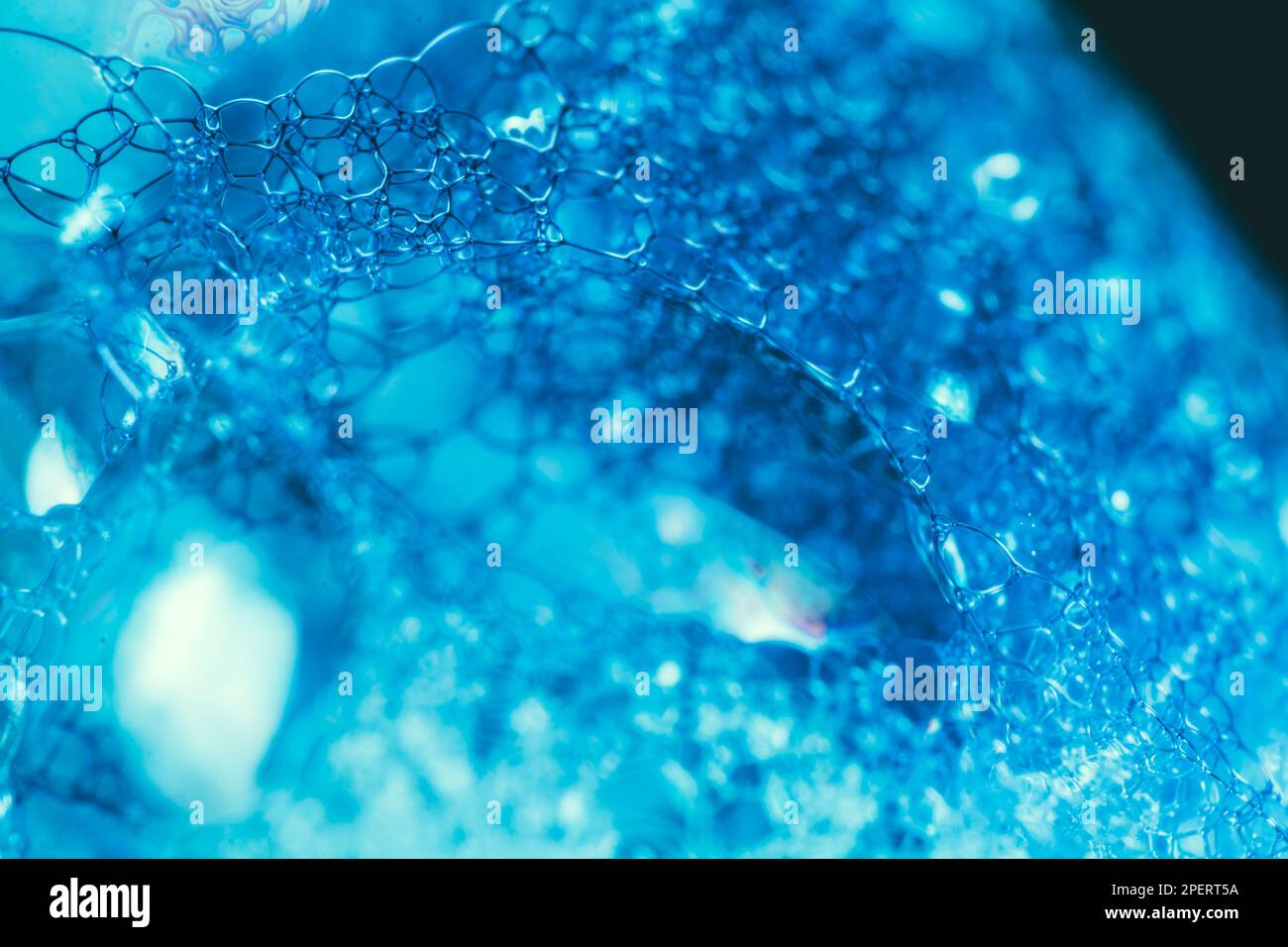 A closeup of blue translucent soap bubbles floating on the water ...
