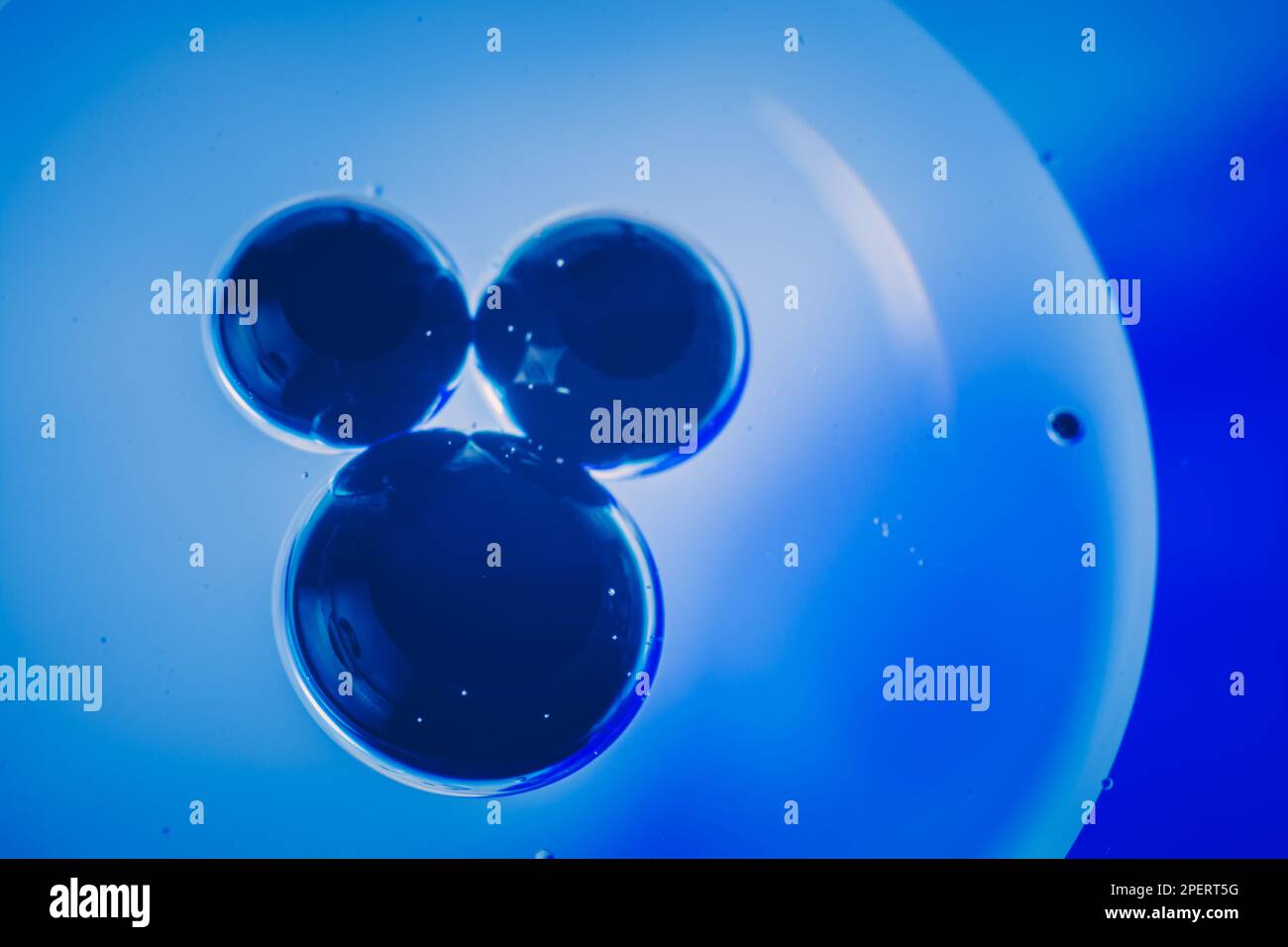 A closeup of blue translucent soap bubbles floating on the water ...