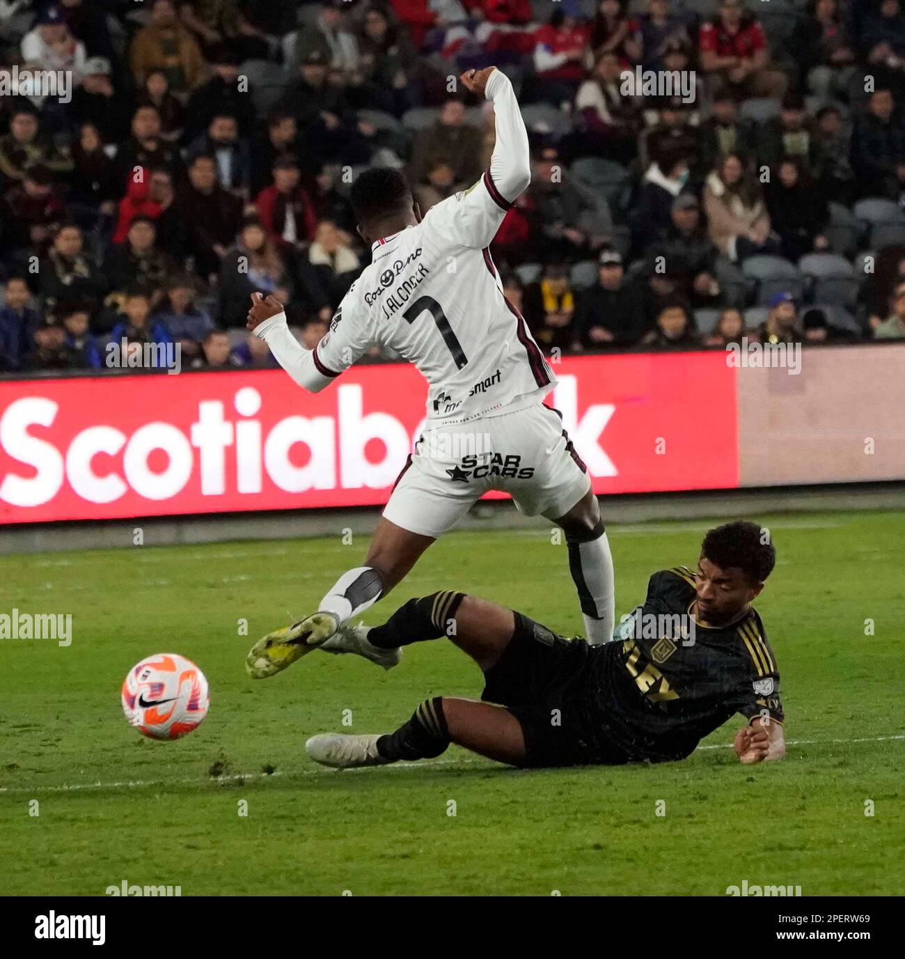 Lafc champions hi-res stock photography and images - Alamy