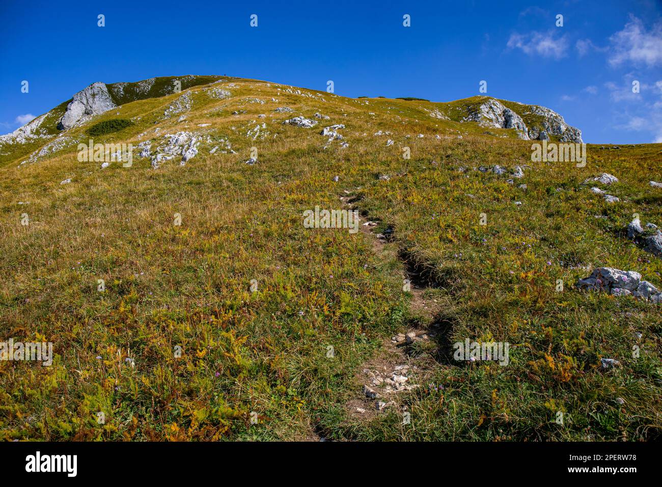 Mountain path in high mountains Stock Photo - Alamy