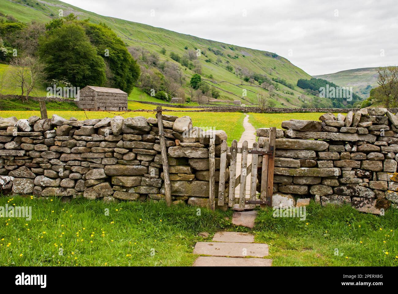 Wildflower rich hay meadows in Muker ,a village and civil parish at the ...