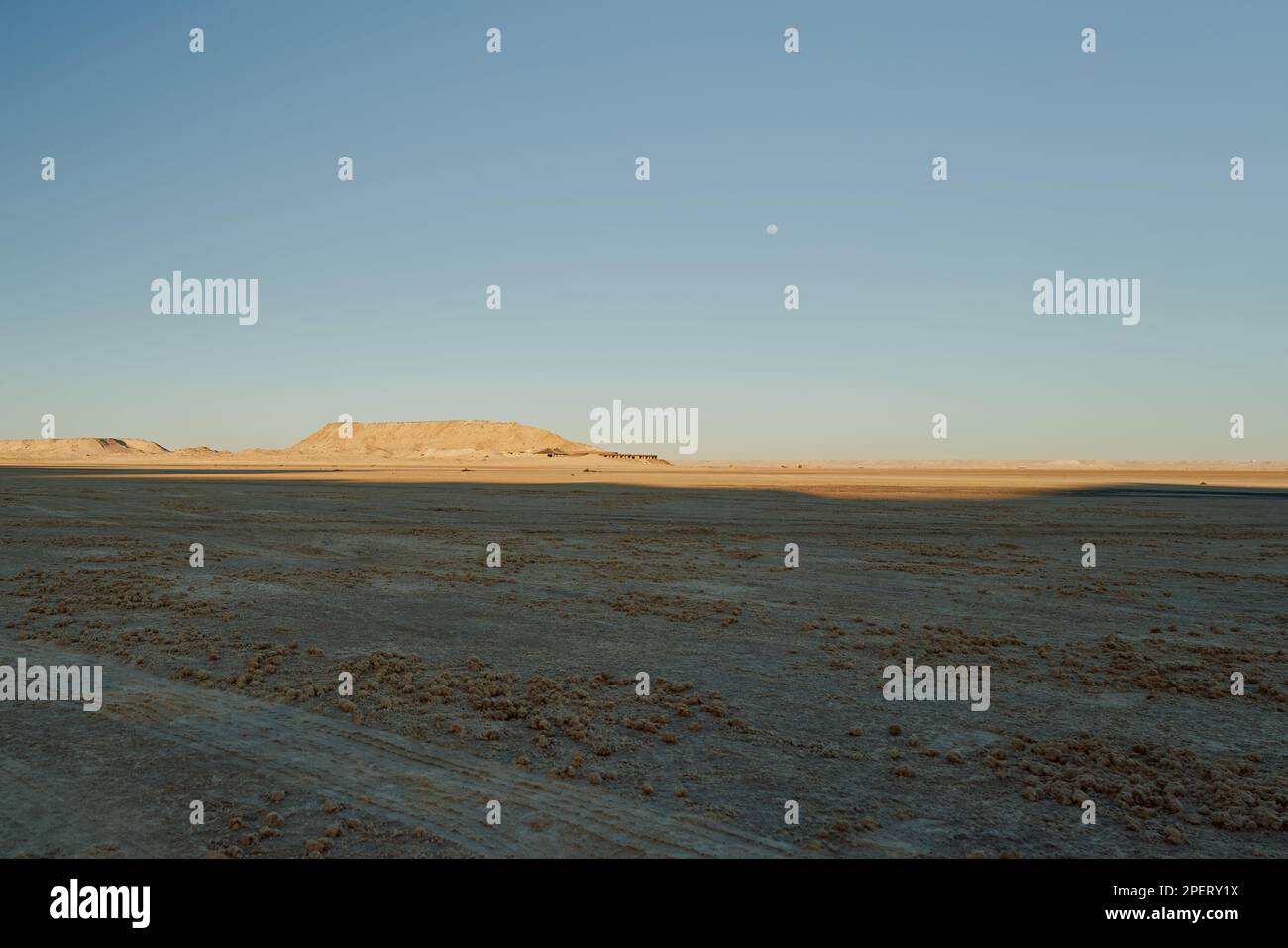 A wide picture of the endless Sahara desert with a moon in daylight ...