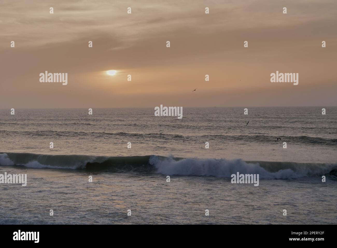 Nice shot hi-res stock photography and images - Alamy