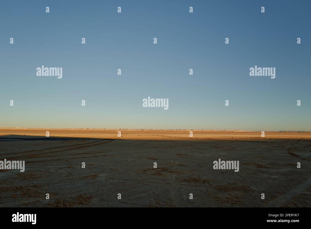 A wide picture of the endless Sahara desert with a moon in daylight ...